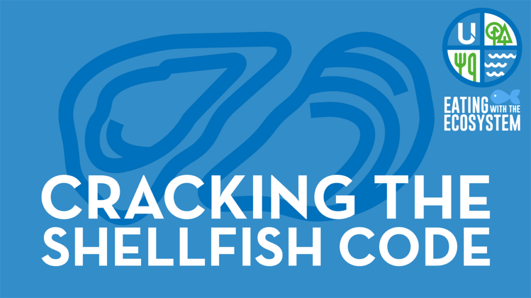 Coming Soon – United Theatre